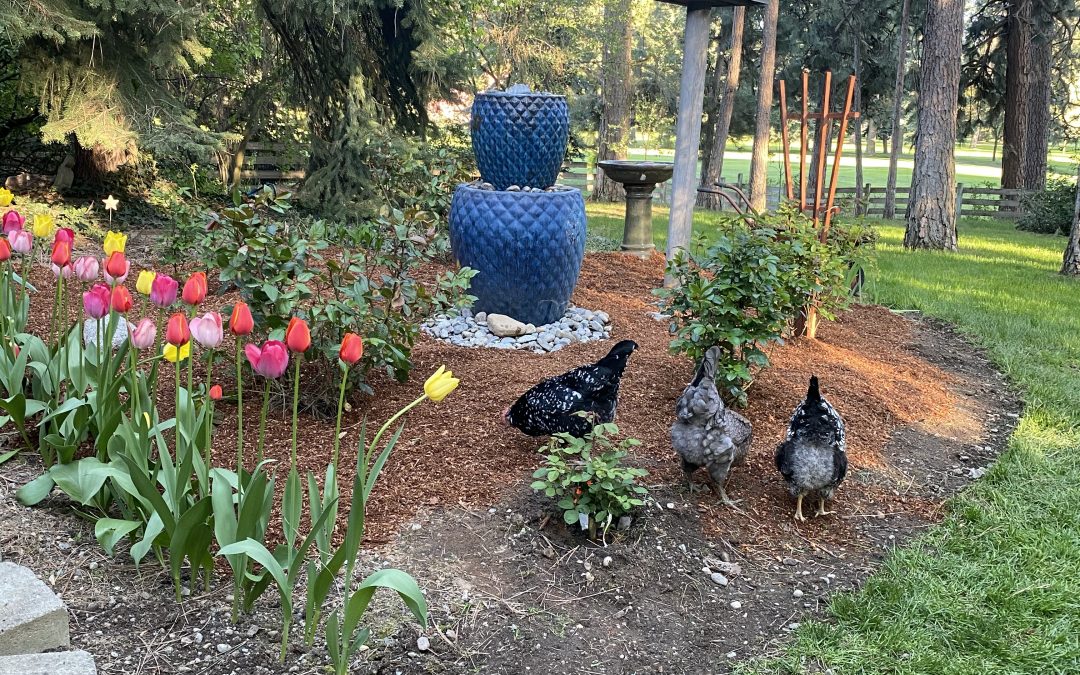 How to Make a DIY Bubbling Water Fountain - Meaningful Midlife